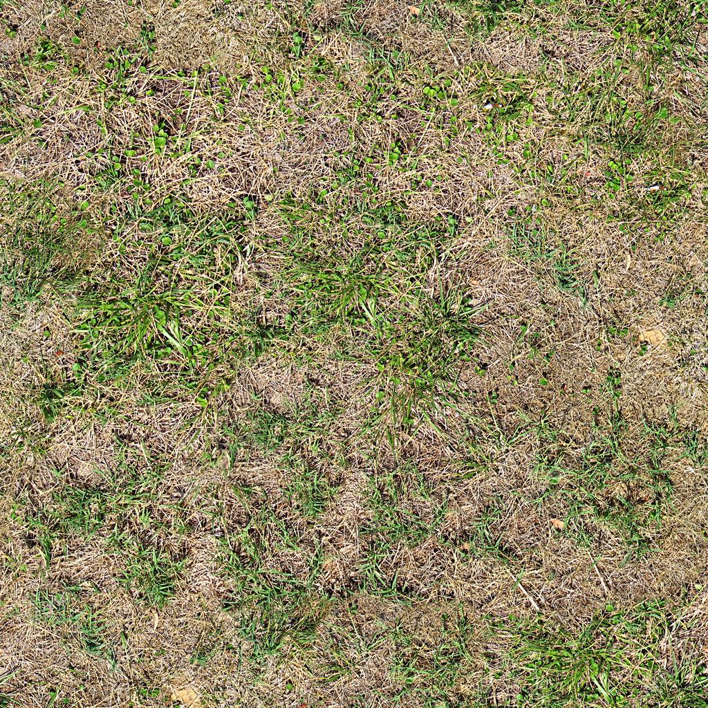 Large Grass Texture Seamless