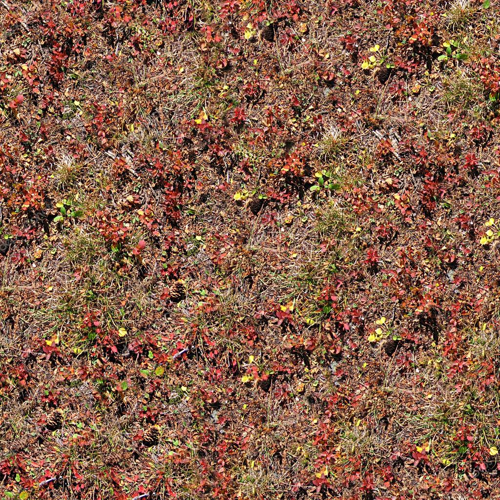 Ground Cover Seamless Texture Tile — Stock Photo ...