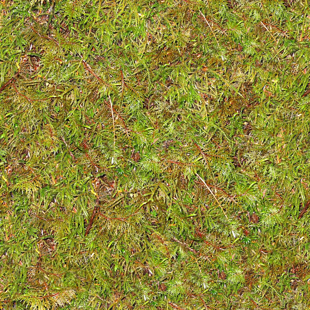 Ground Cover Seamless Texture Tile Stock Photo by ...