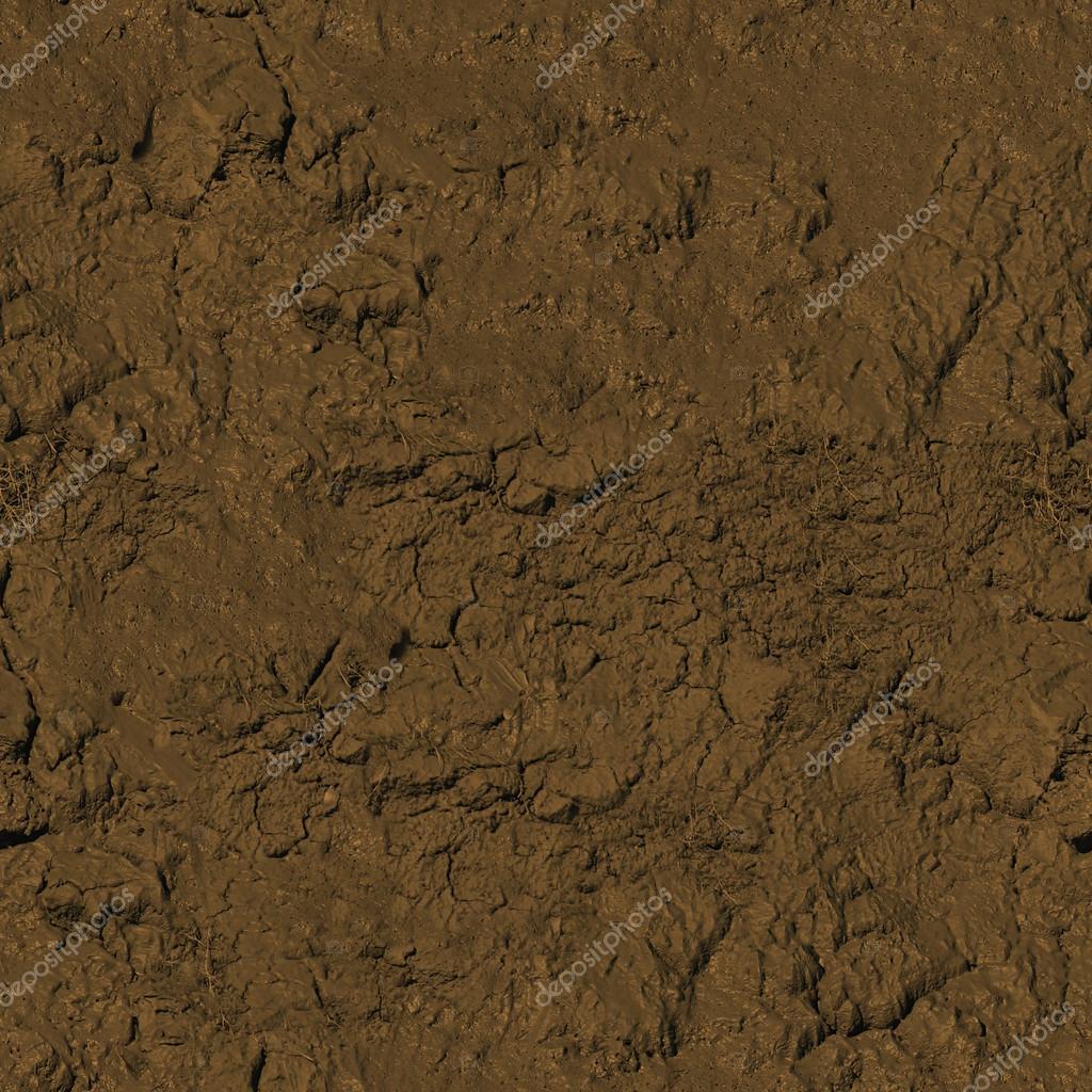 Seamless Wet Mud Texture