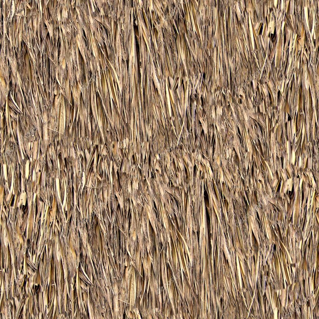 Thatched Roof Texture