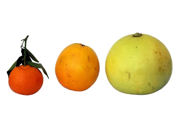 Mango yellow color Stock Photos, Royalty Free Mango yellow color Images ...