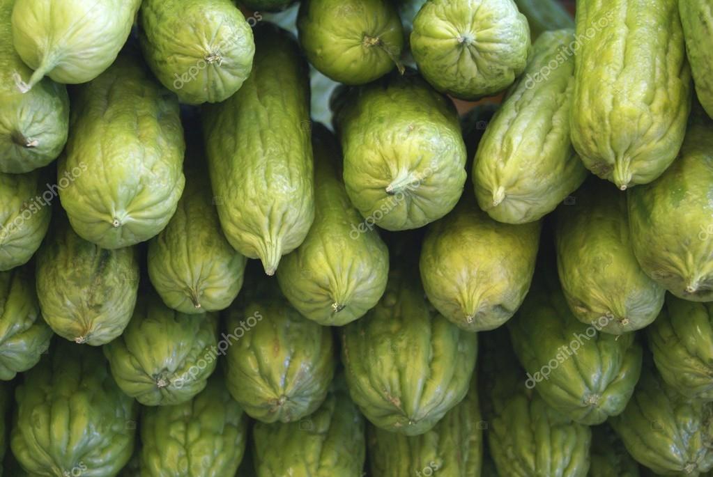 Momordica charantia. bitter melon. bitter gourd. bitter squash. balsam ...