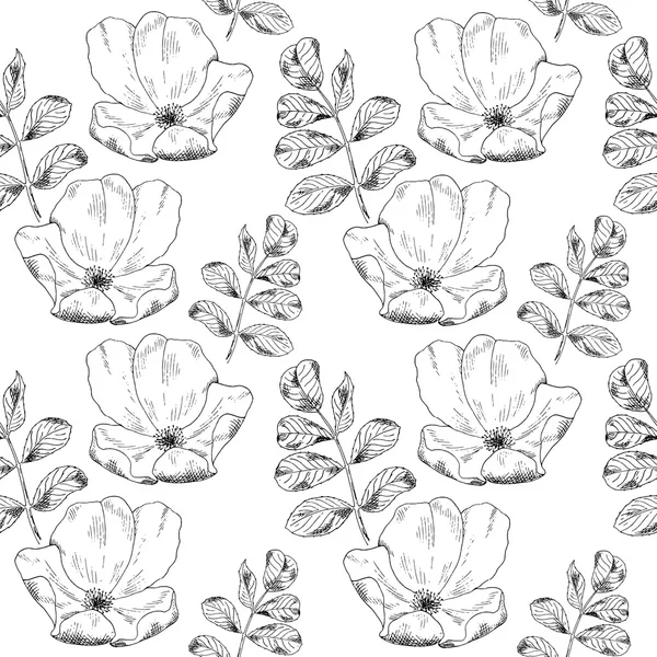 Seamless sketch briar template Stock Vector by ©josephine_art 115226468