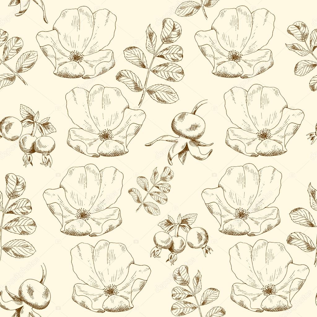 Seamless sketch briar template Stock Vector by ©josephine_art 115226468