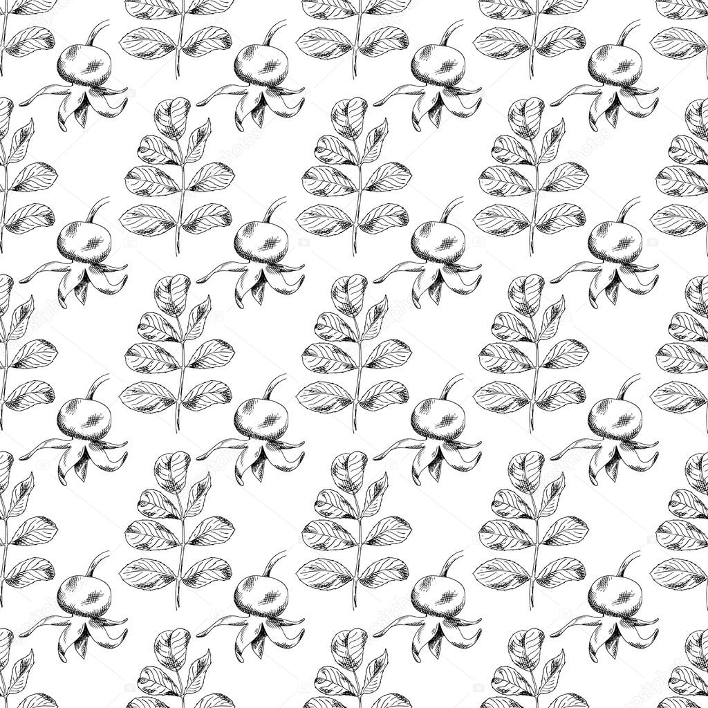 Seamless sketch briar template Stock Vector by ©josephine_art 115227316