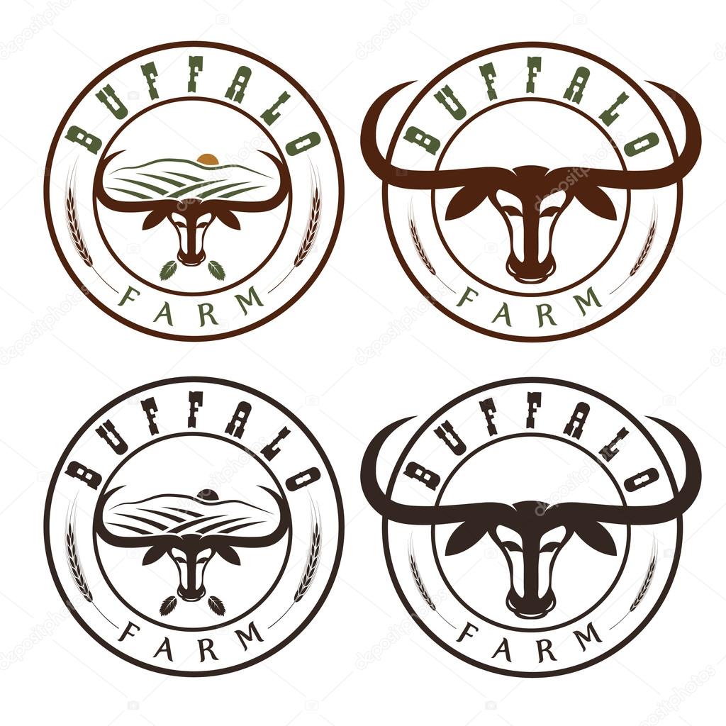 Buffalo farm vintage labels set — Stock Vector © UVAconcept #58031413