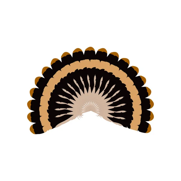 Turkey Tail Feathers Clip Art