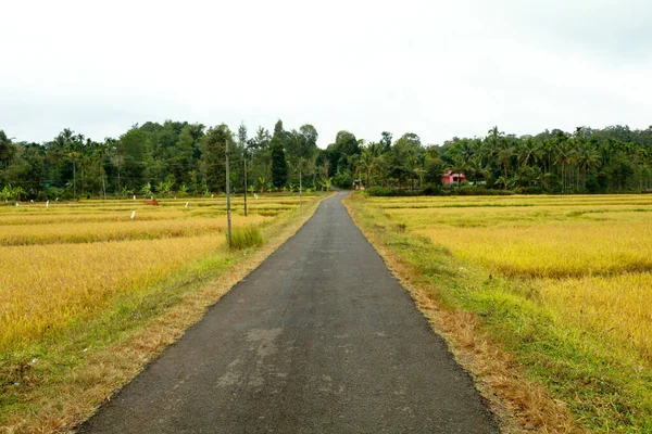 Indonesia rural roads Stock Photos, Royalty Free Indonesia rural roads ...