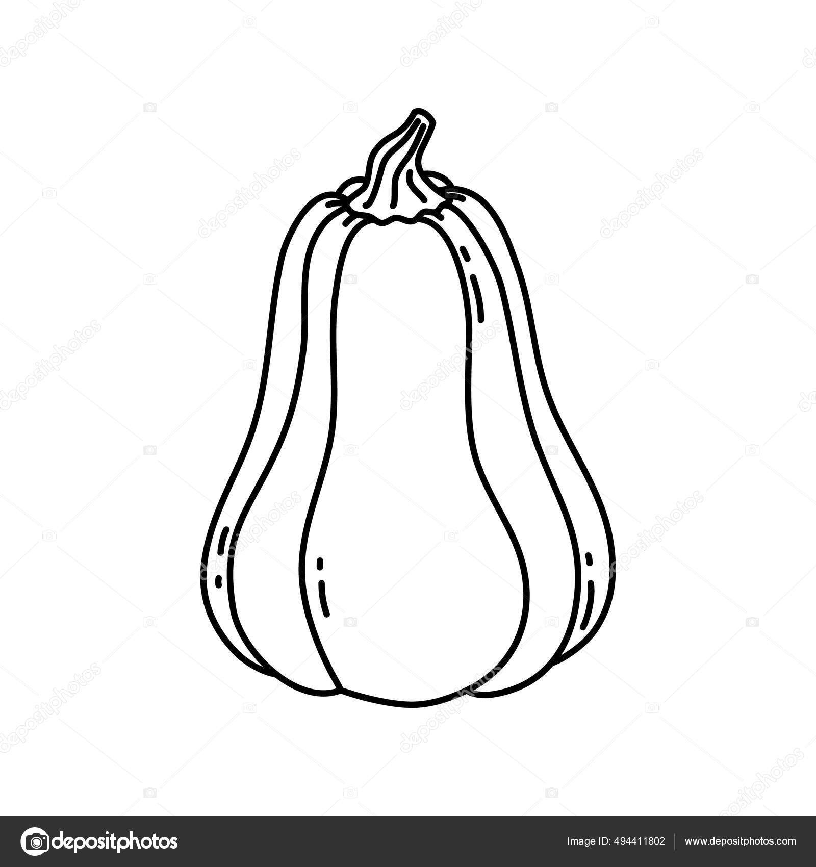 Squash Outline
