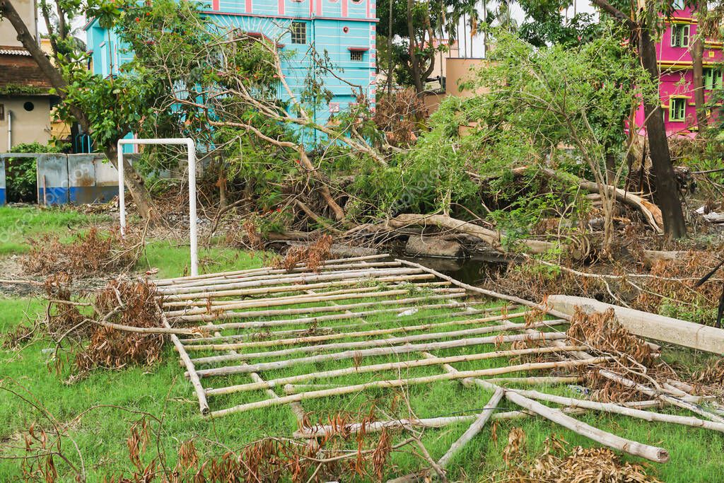 Super ciclón Anfano desarraigado árboles que cayeron en un campo. La ...
