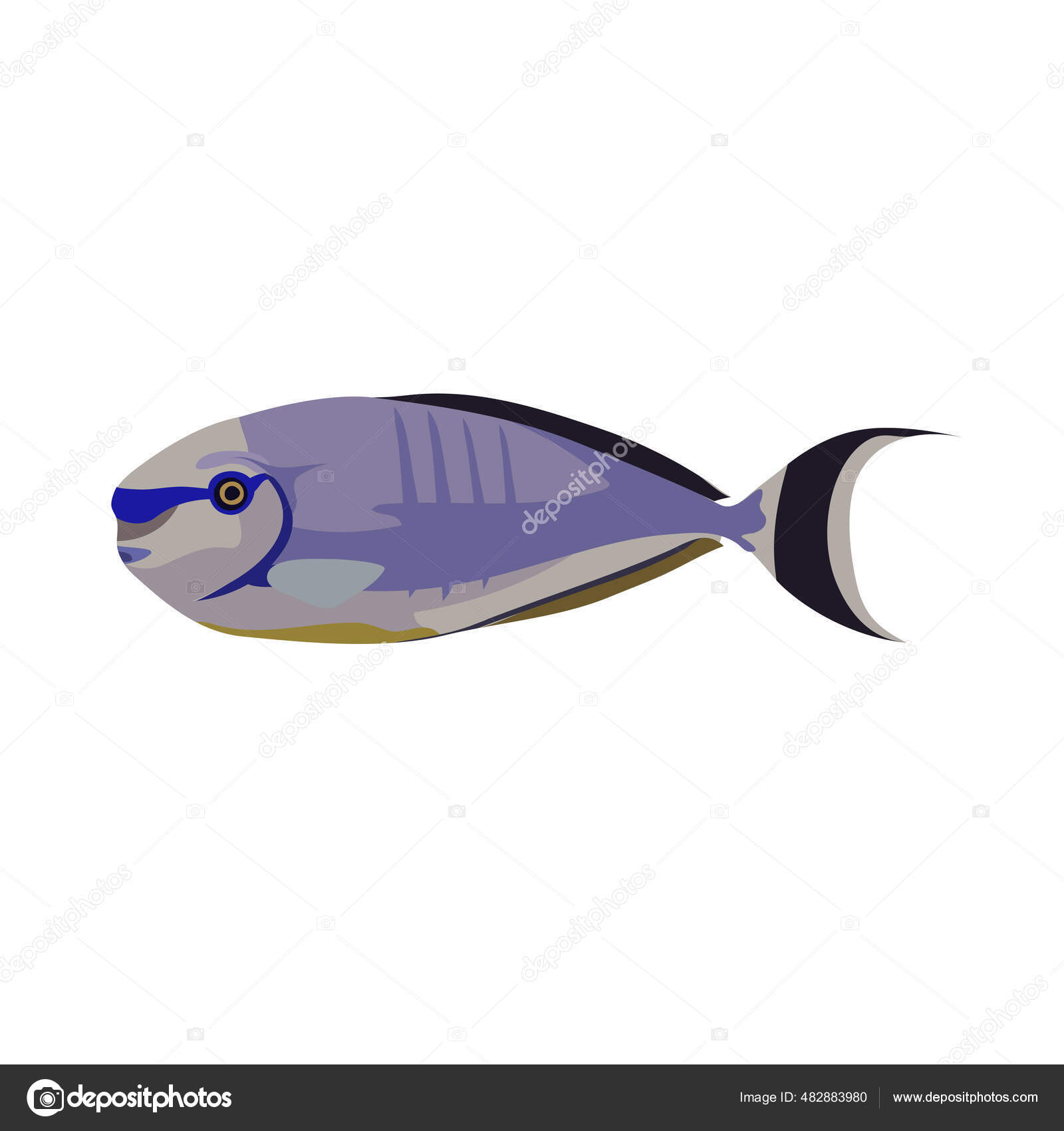 Cartoon illustrations of surgeon fish isolated on white background ...