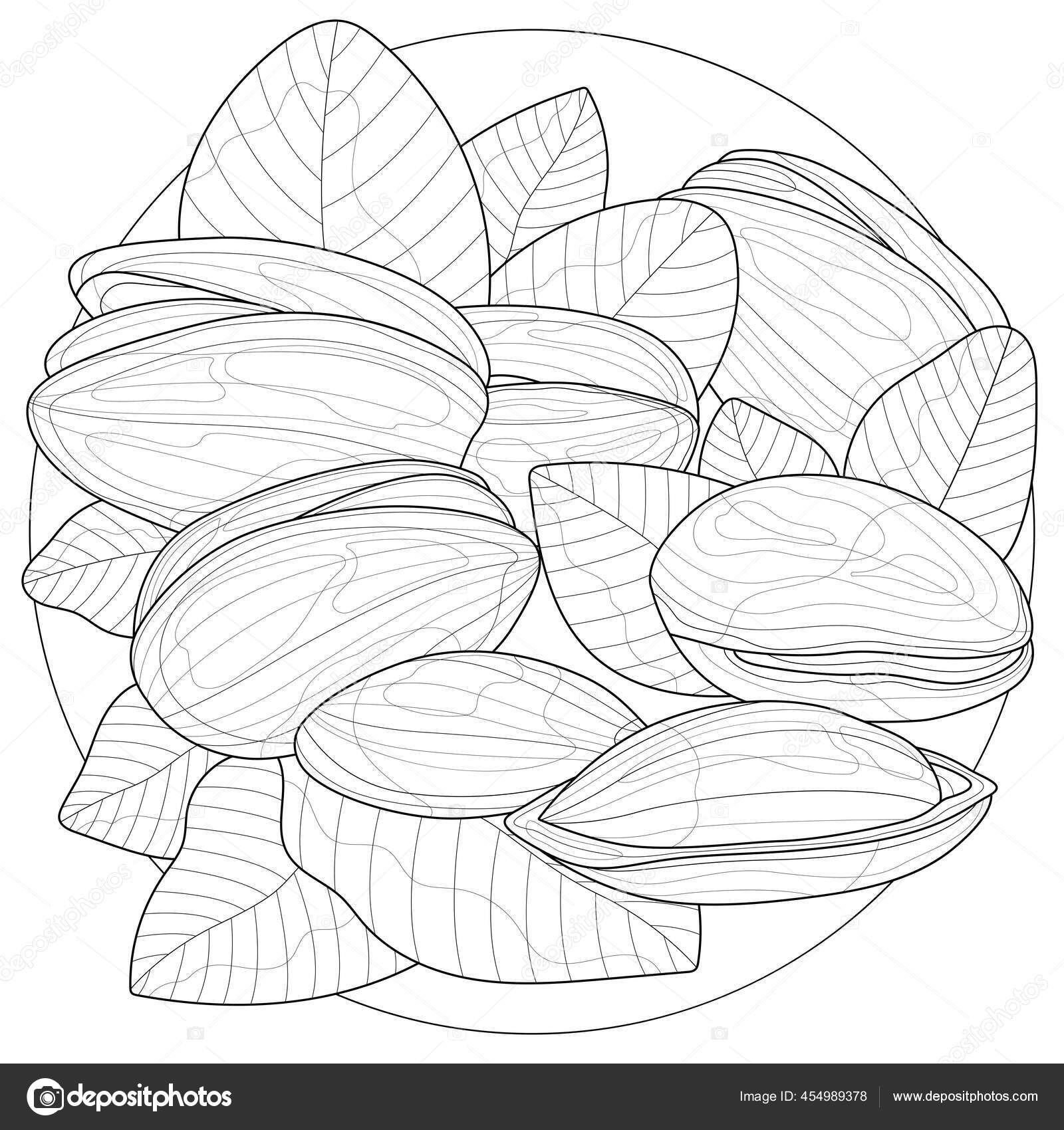 Nuts Coloring Pages