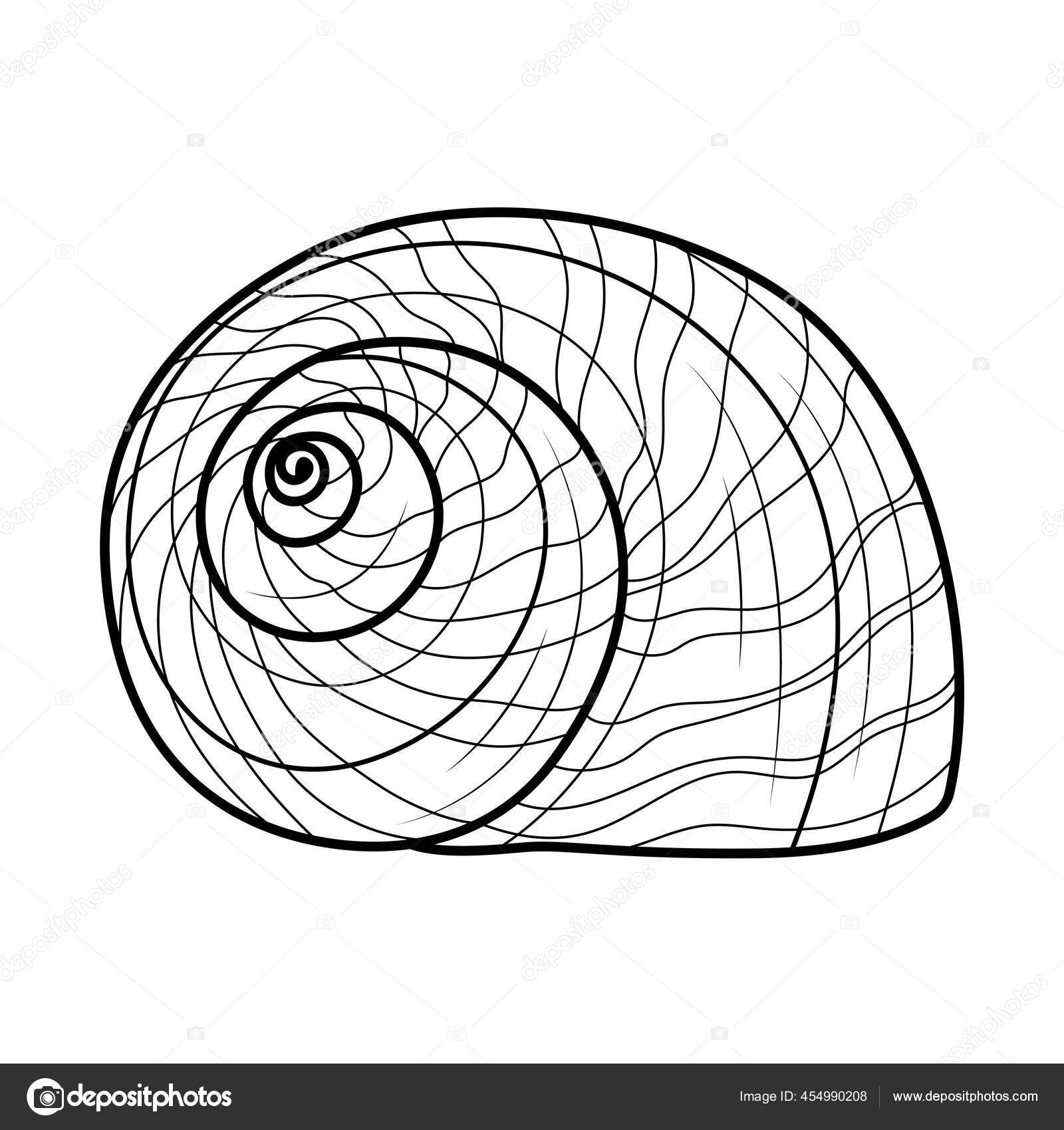 Sea Shell Coloring Book Antistress Children Adults Illustration ...