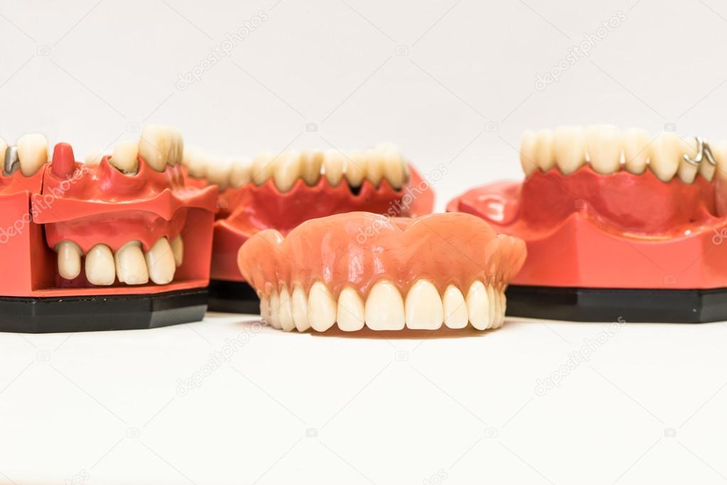 Dental dentures isolated on white Stock Photo by ©bedya 59524957