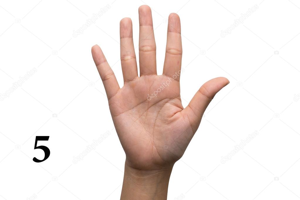 Number five language in American Sign Language (ASL). — Stock Photo ...