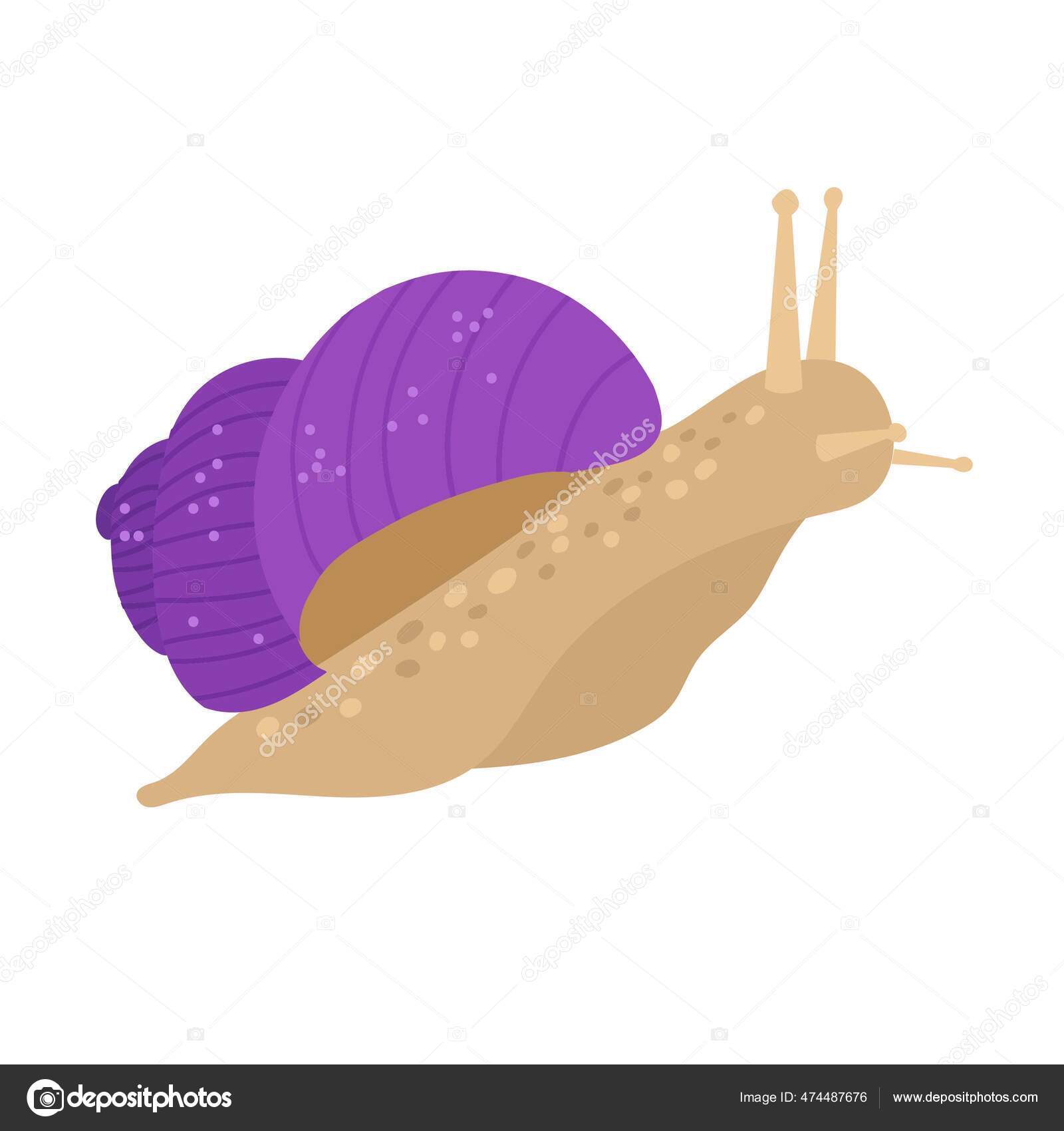 Cute snail in a shell in purple color. Vector hand drawn cartoon Stock ...