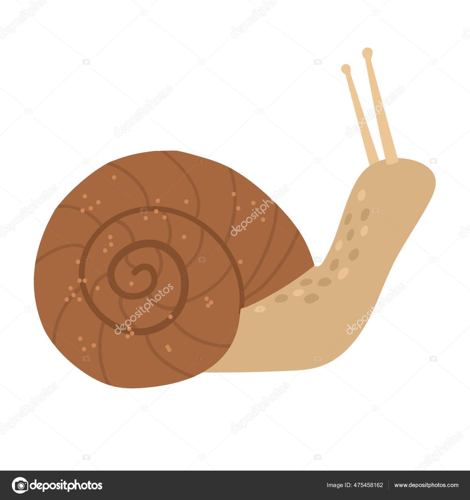 Cute Snail Shell Brown Vector Hand Drawn Cartoon Illustration Stock ...
