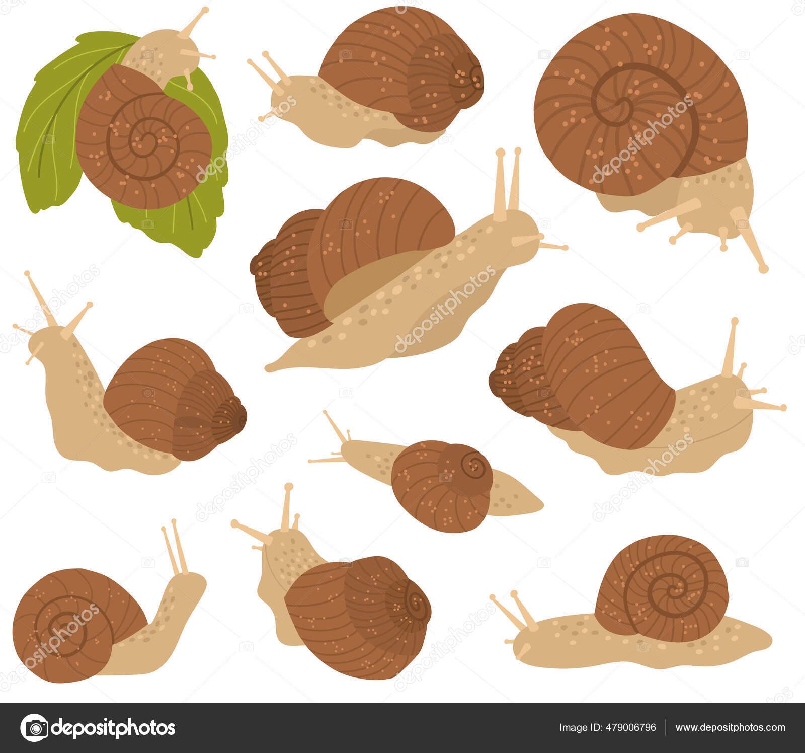 Cute snail collection in a shell in brown color. Stock Vector by ...