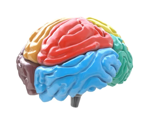 Temporal Stock Photos, Royalty Free Temporal Images | Depositphotos®