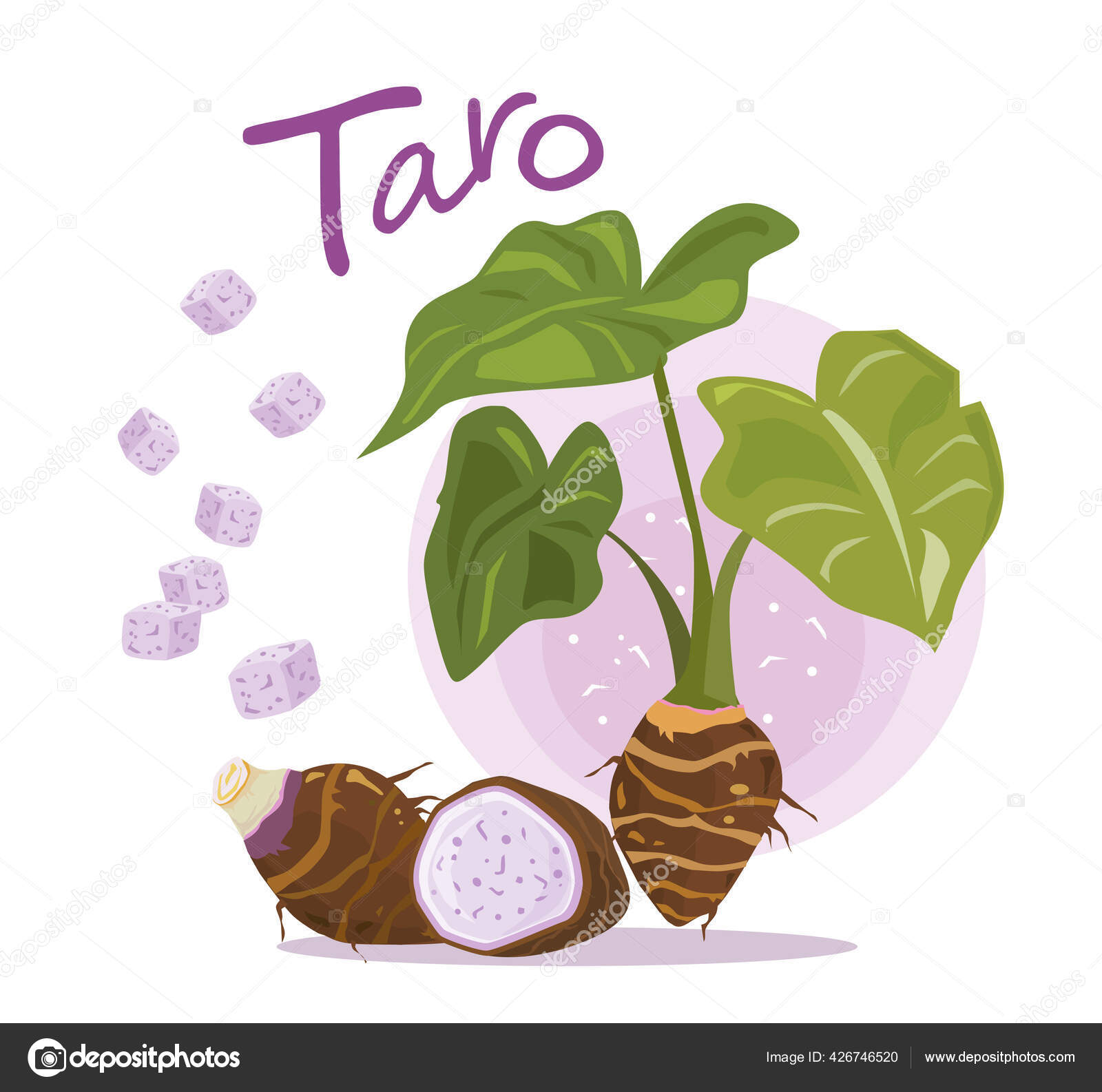 Taro Plant Taro Sliced Half Square Cut Isolated White Background Stock Vector by ©oyosunan@gmail ...