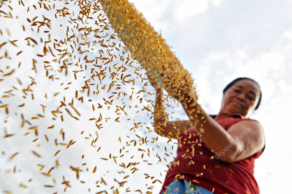 Tradition in a Dusun culture — Stock Editorial Photo © sylviasooyon75 ...