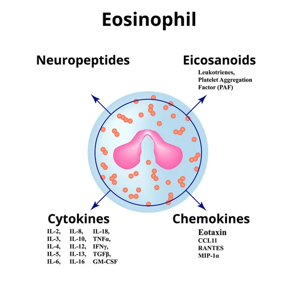 Dysbacteriosis dari usus. Lactobacillus, Bifidobacteria, Streptococcus ...