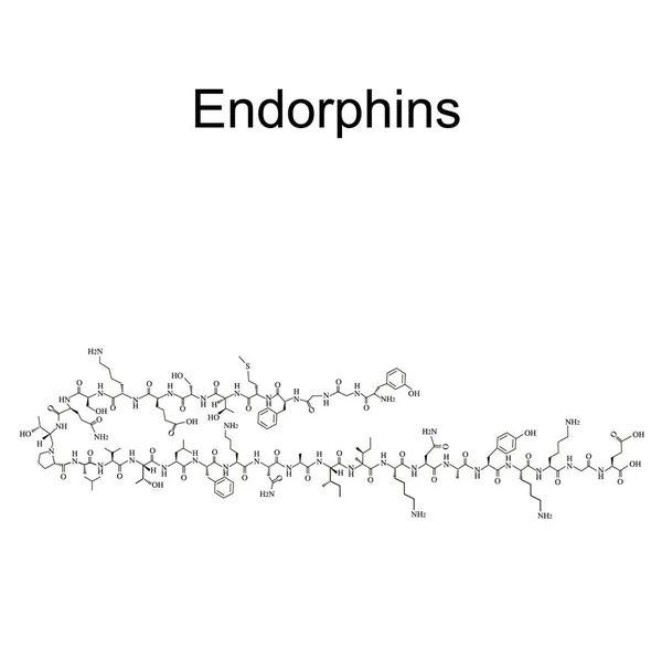 Endorphin Molecule