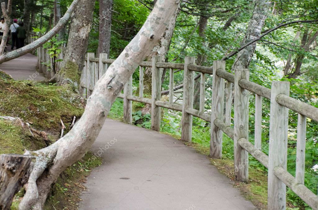 Pathway — Stock Photo © peogeo #53790219