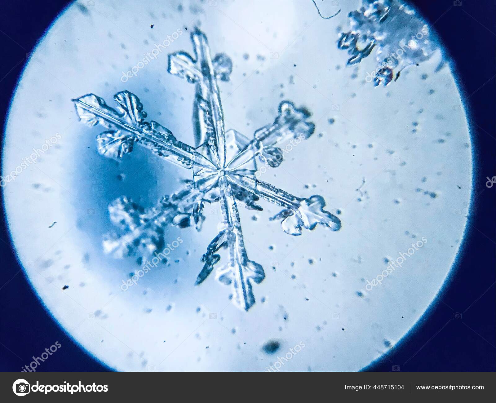 Ice Under Microscope