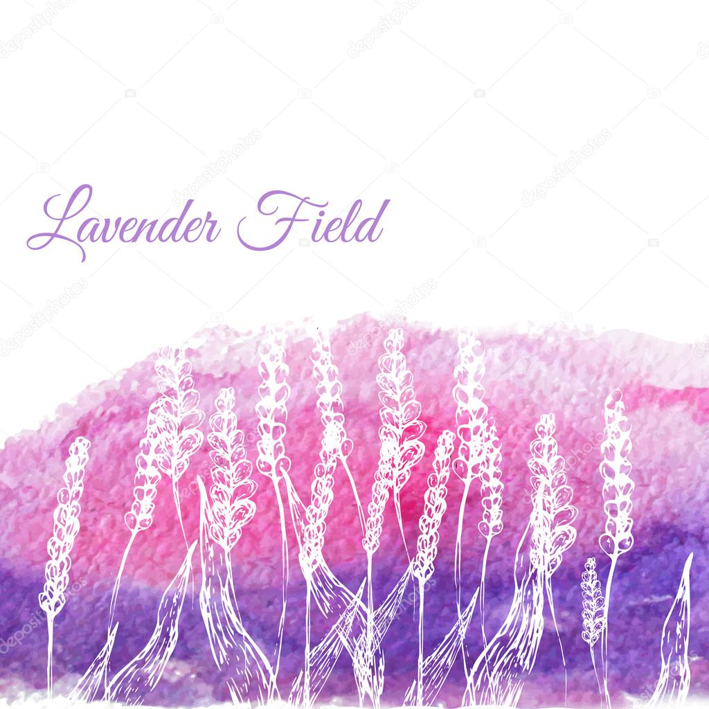 Vector lavanda campo en acuarela mano dibujado fondo . Vector de stock ...