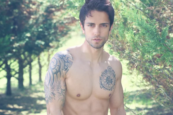 Homme brun images libres de droit, photos de Homme brun | Depositphotos