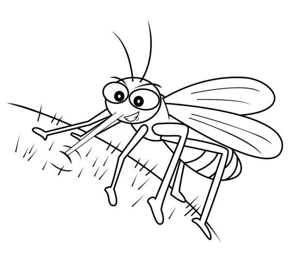 Gnat Drawing