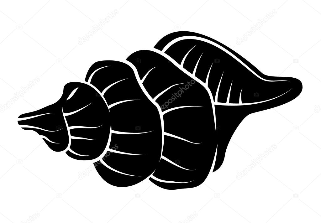 Conch Shell Silhouette