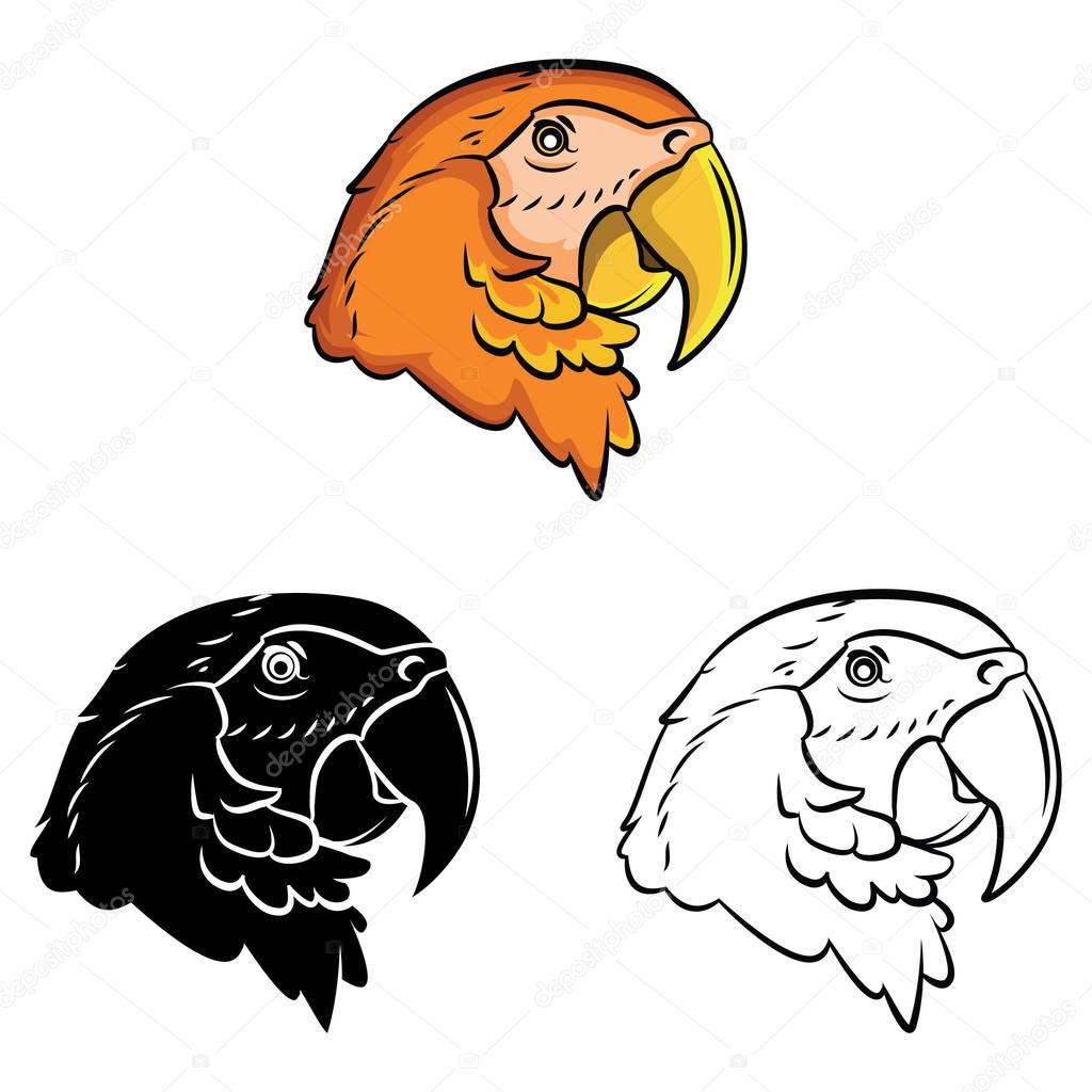 Parrot heads collection Stock Vector Image by ©funwayillustration #66944073