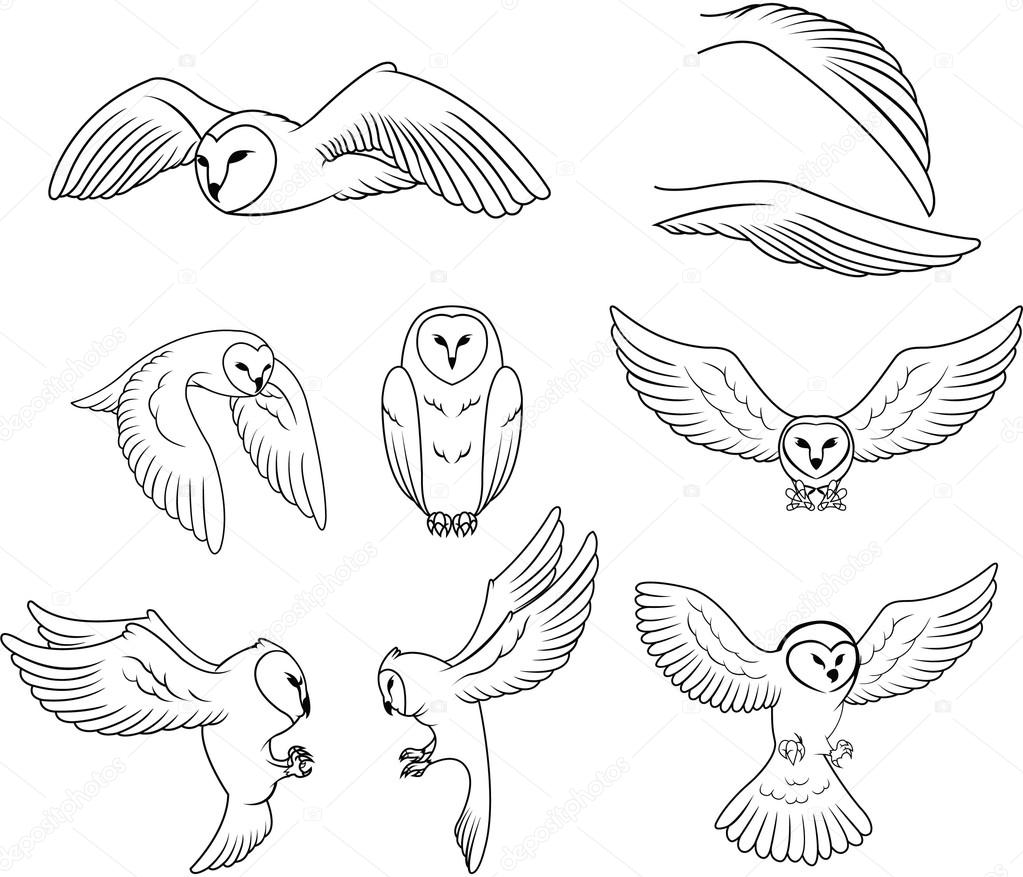 Simple Barn Owl Drawing