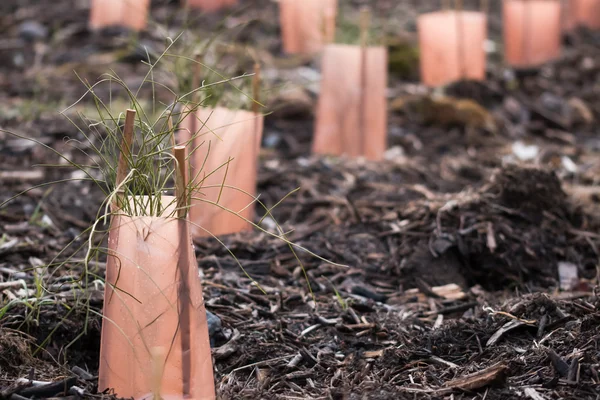 Soil restoration Stock Photos, Royalty Free Soil restoration Images ...