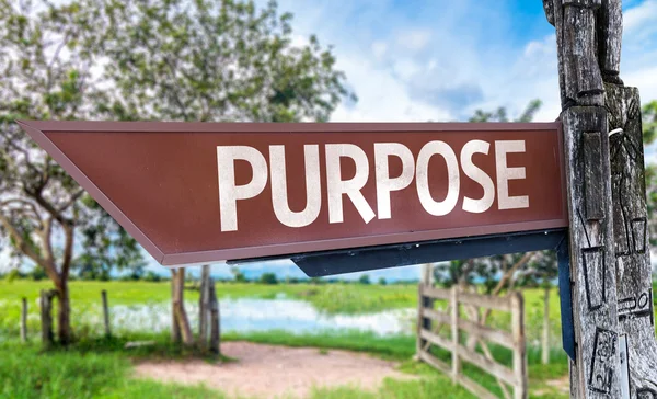 Life purpose Stock Photos, Royalty Free Life purpose Images | Depositphotos