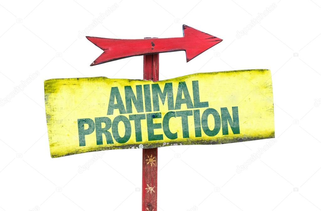 Animal Protection text sign — Stock Photo © gustavofrazao #73414081