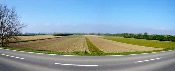 Horizontal Road Landscape