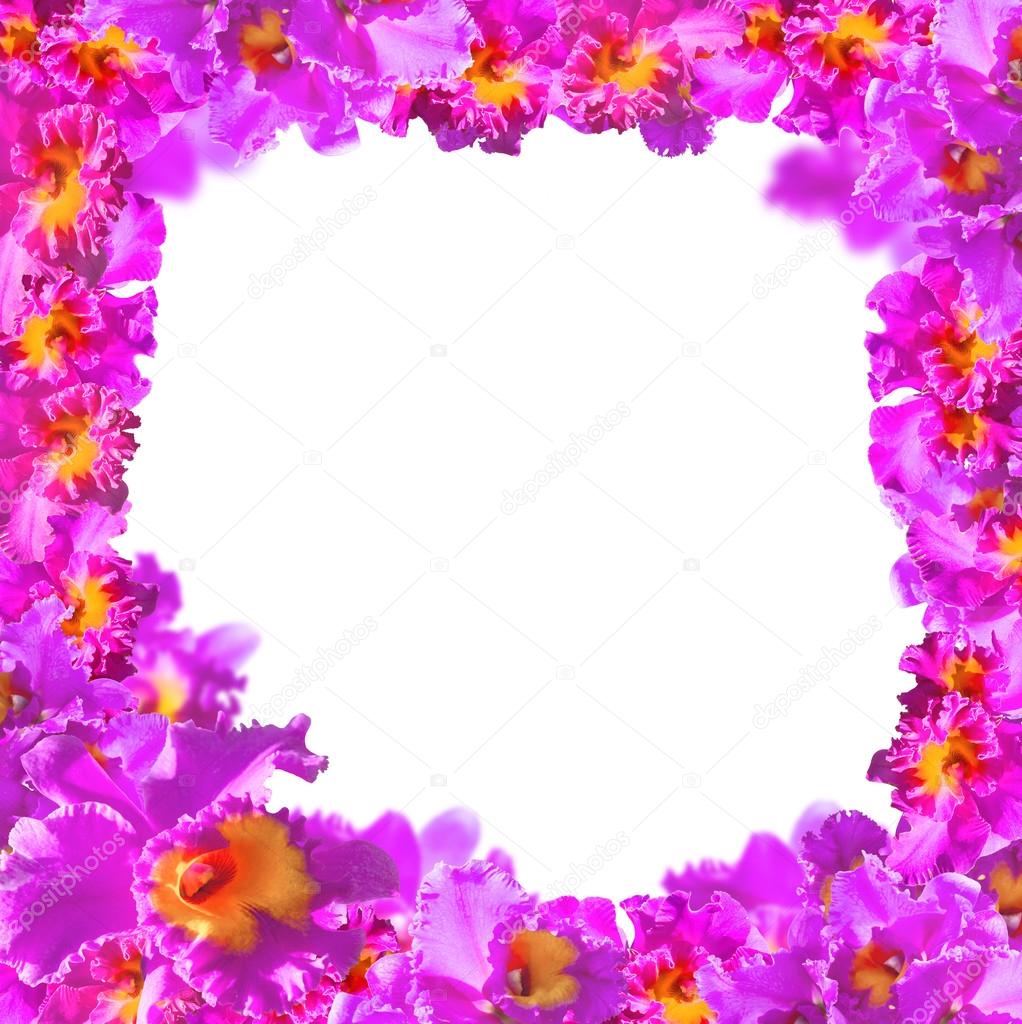 Frame of Beauty Pink Orchids — Stock Photo © kittypong45 #76519395