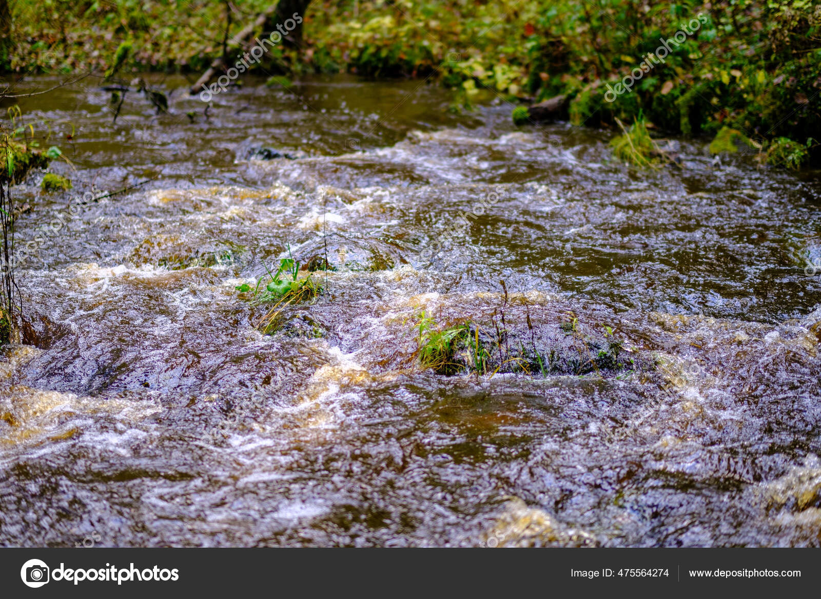 Calm Forest Smal Lriver Small Waterfall Natural Rocks Water Flowing ...