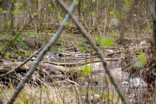 Visiting a nature trail Stock Photos, Royalty Free Visiting a nature ...