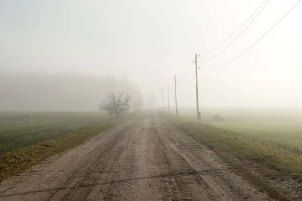 Heavy mist Stock Photos, Royalty Free Heavy mist Images | Depositphotos