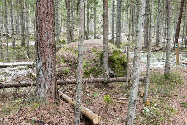 snow covered forest trails in spring - Stock Image - Everypixel
