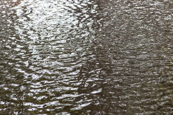 Flood Water Texture