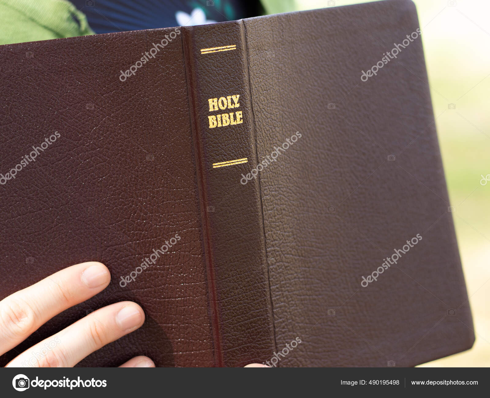 Christian Girl Reading Opened Holy Bible Book Scriptures Golden Text ...