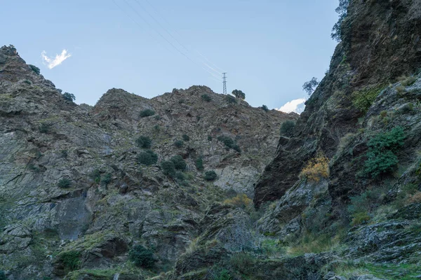 rugged area of Sierra Nevada, there are trees and bushes, there are ...