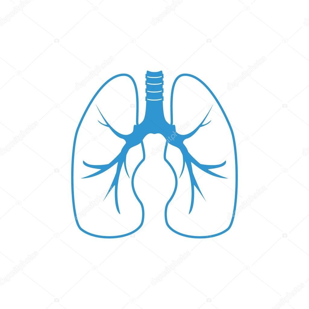 Vector de pulmones humanos Vector de stock #103736144 de ©viktorijareut
