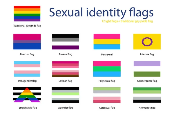 Lgbtq Pride Flags Lgbt Community Sexual Identity Stock Vector Image